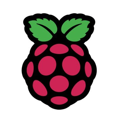 The Raspberry Pi Camera Interface