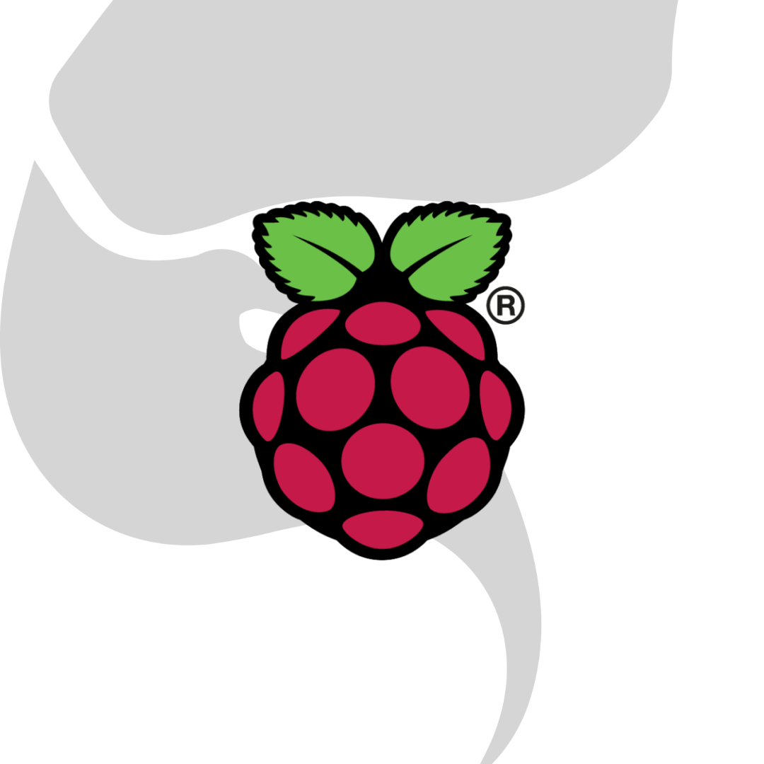 Raspberry Pi Cameras